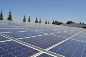 Contact Us - Wholesale Seafood | Pucci Foods