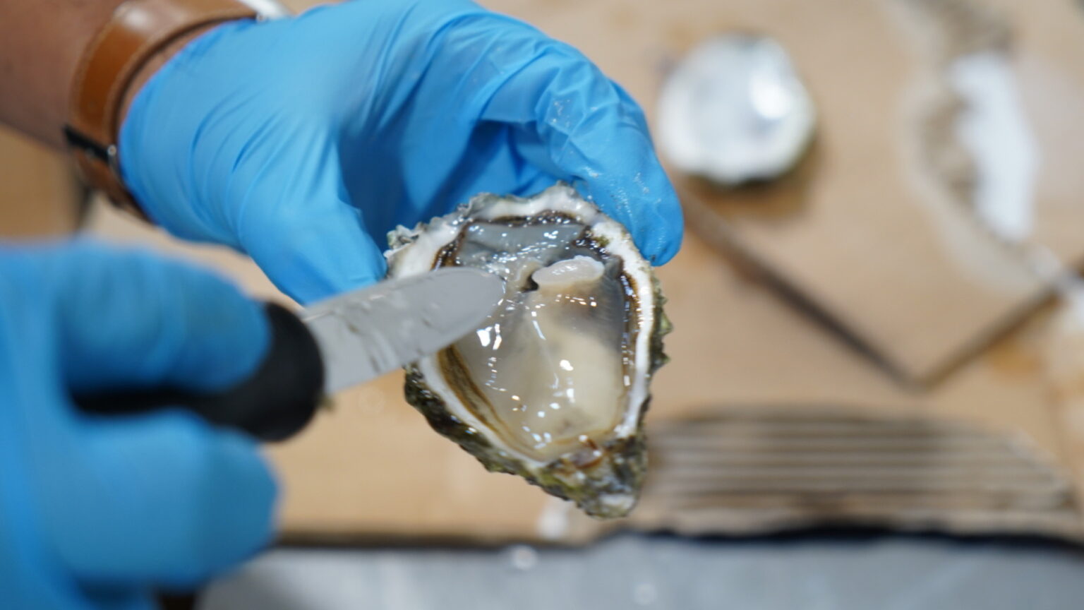 How to Check the Freshness of Shellfish