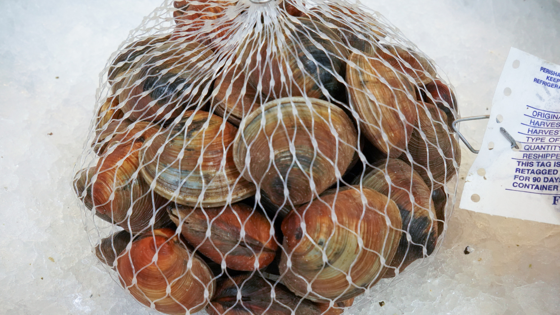 How to Check the Freshness of Shellfish