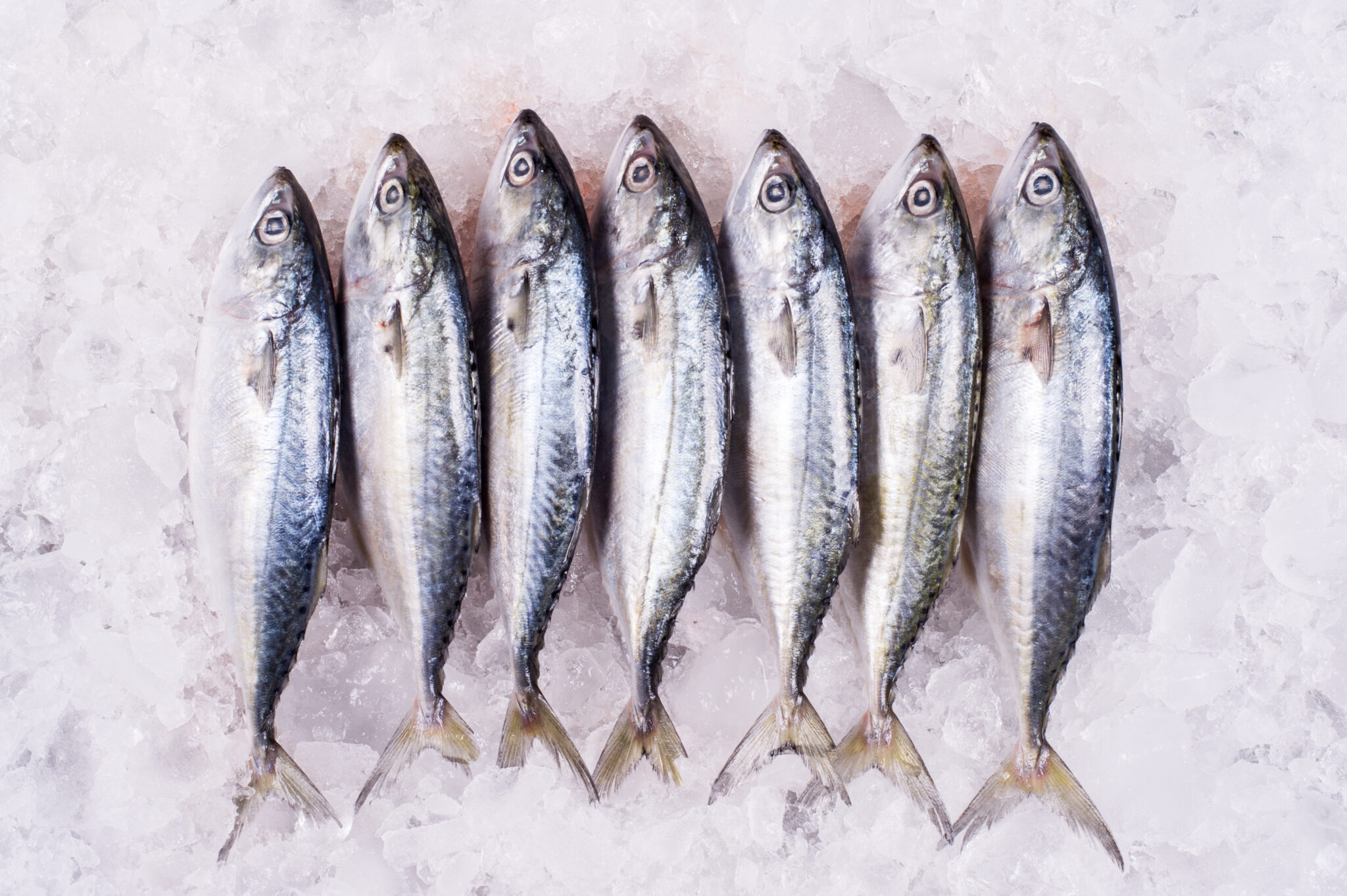 The Ultimate Guide To Maintaining The Freshness of Fish And Seafood